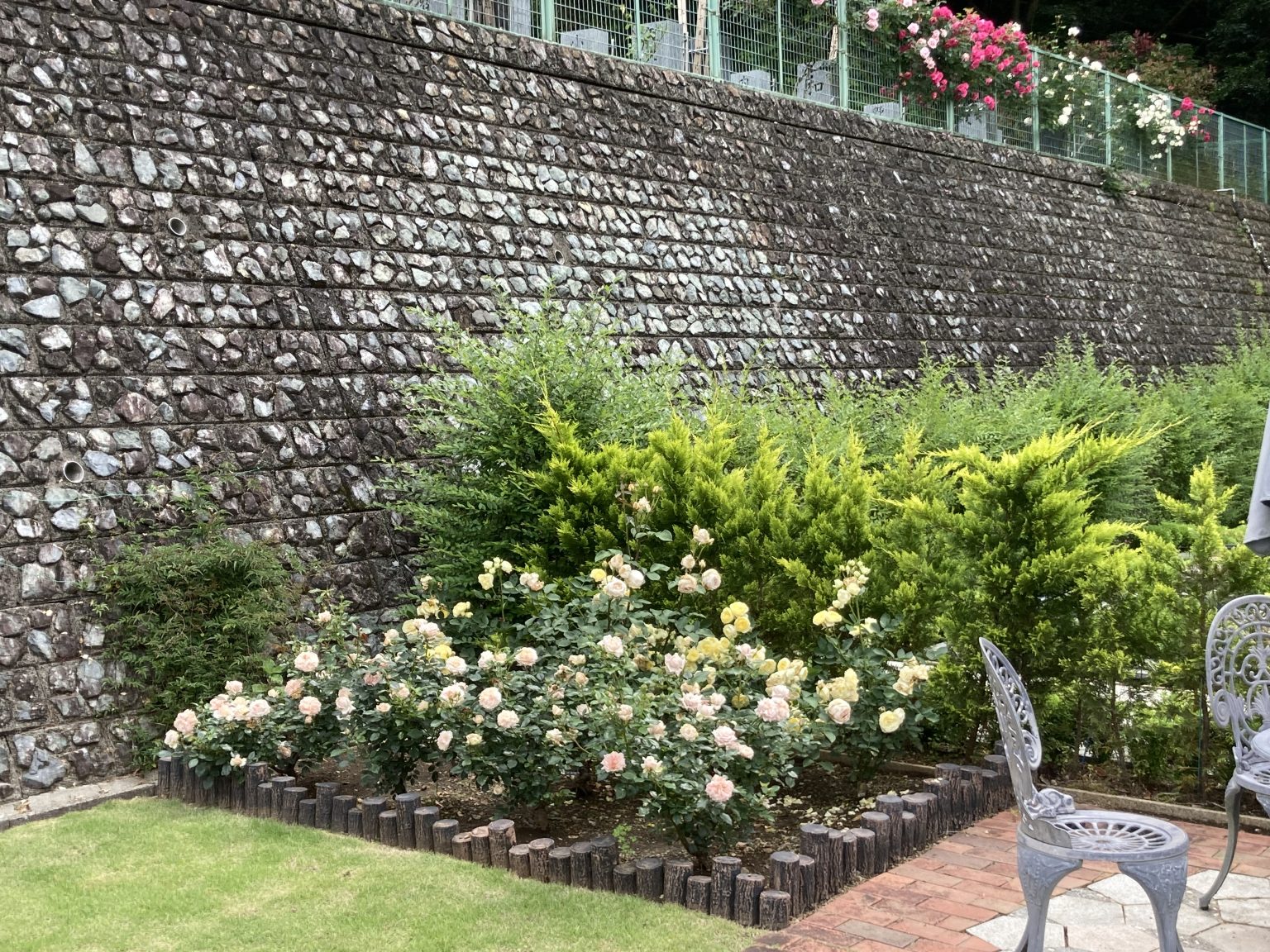 ブログ初登場にゃ | お葬式・お墓のことならガーデニング霊園のいせや